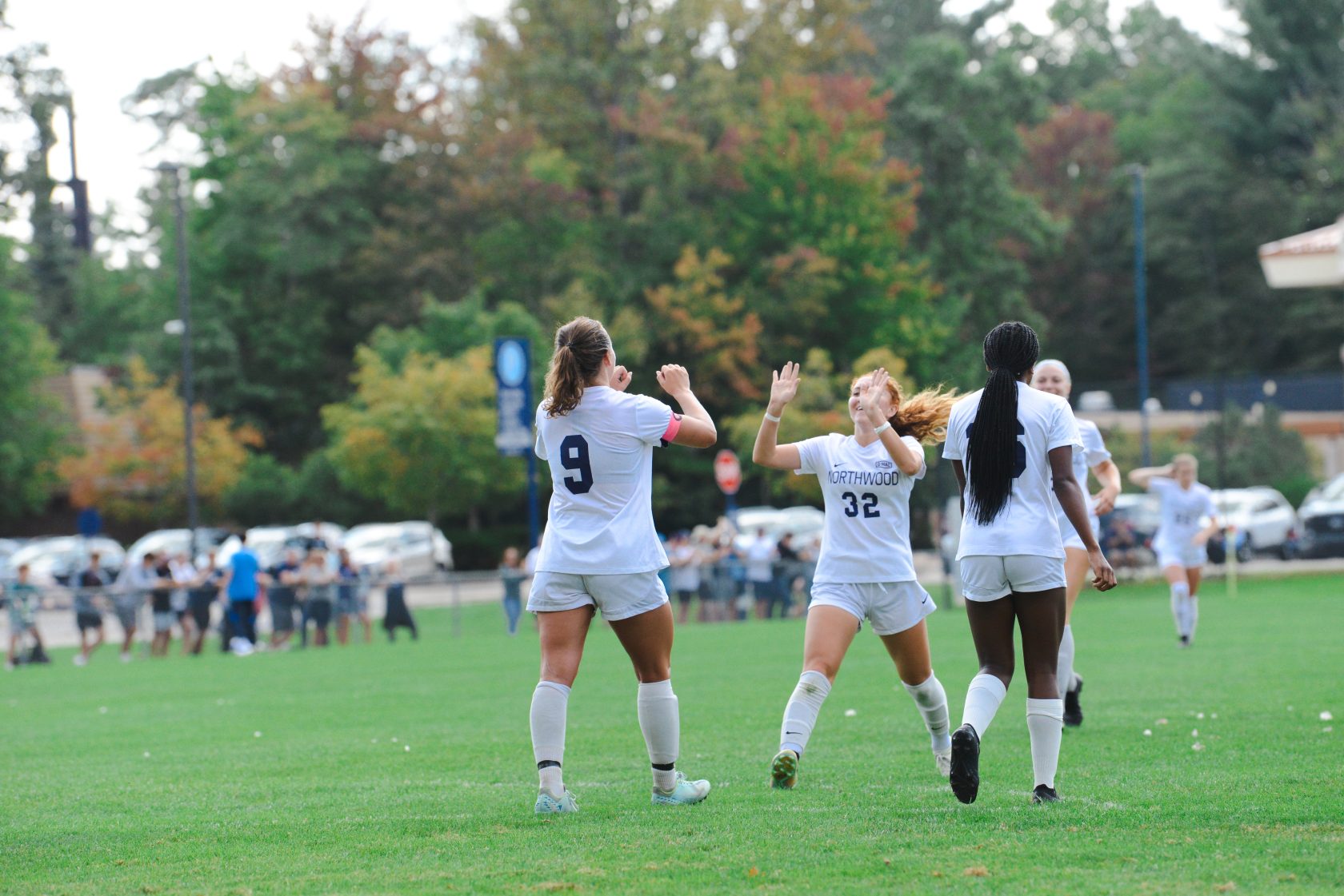 Sport Management - Northwood University