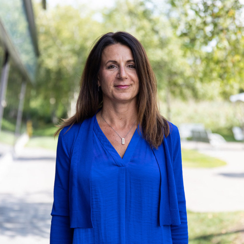 Election Integrity Is an Important Product of the Rule of Law ...